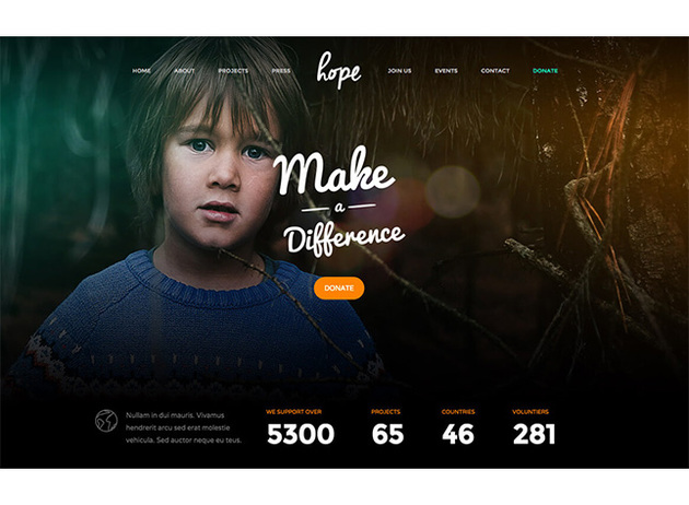 Adobe Systems Premium WordPress Bundle | StackSocial